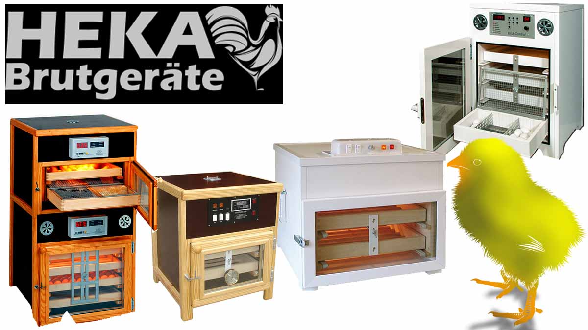 Optimiza la incubación de aves con la mejor tabla de incubación ...