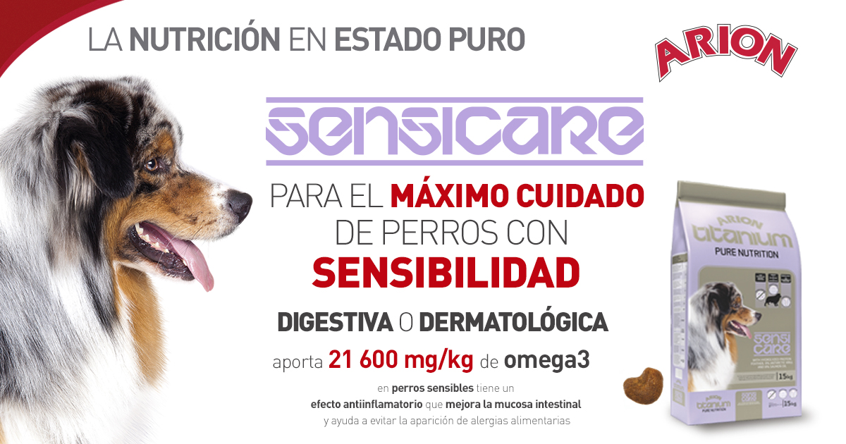 Pústulas en perros: causas, síntomas y tratamiento - RevistaBiologica.com
